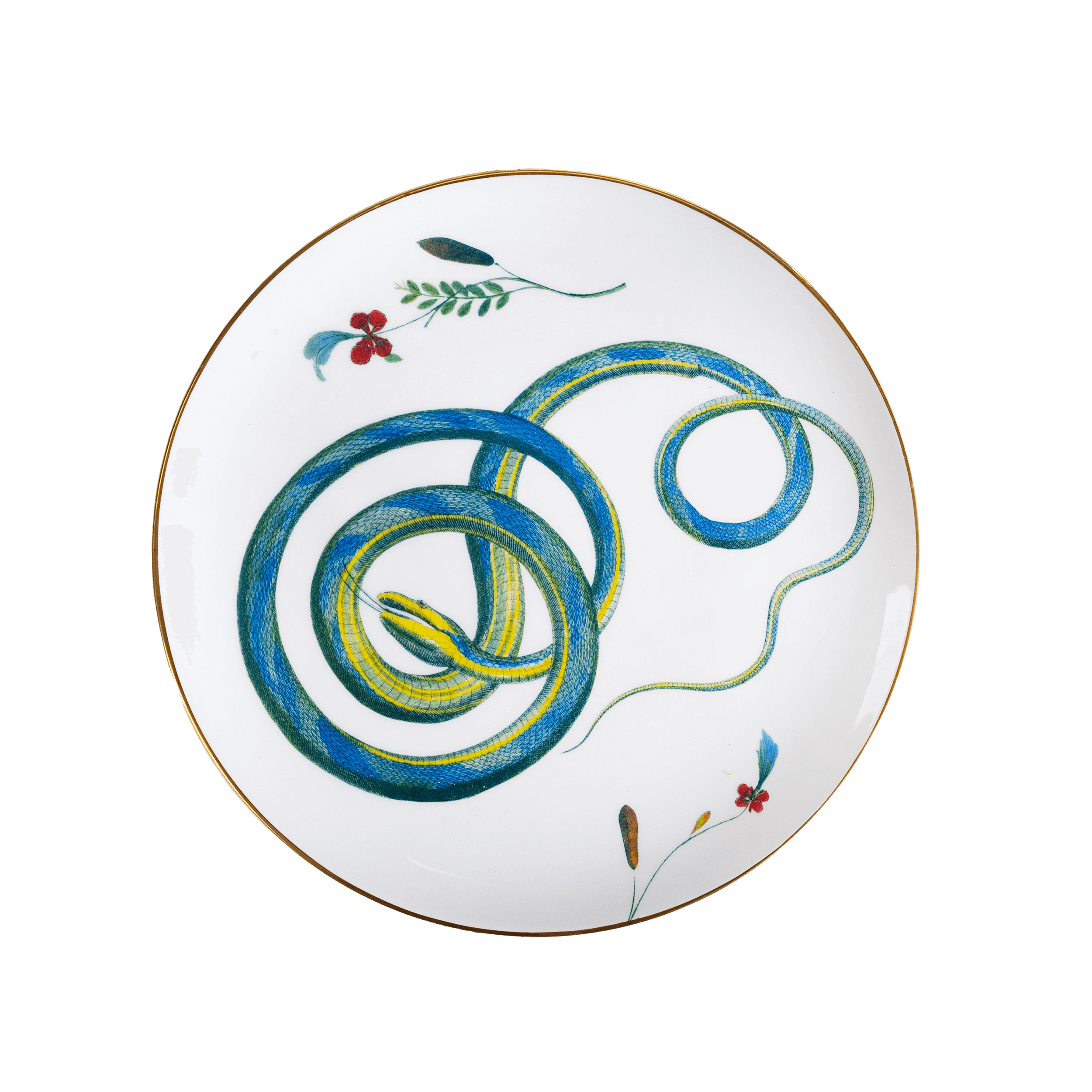 Serpi Plates | Enchanting Italian Design from Elite Hire